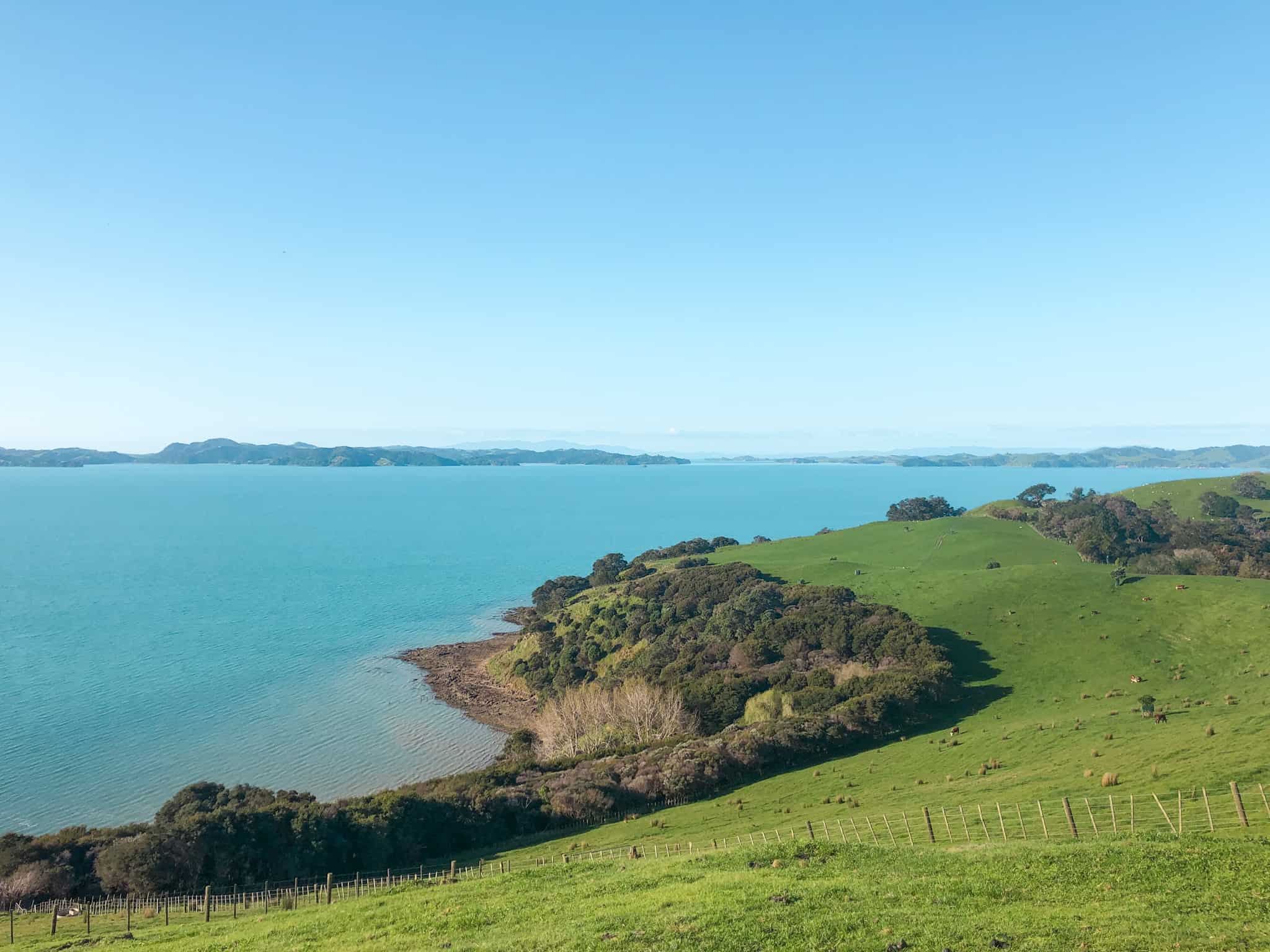 17 Best Auckland Walks and Hikes (2025)