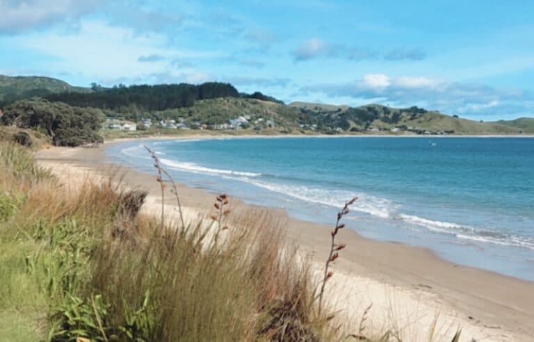 Opito Bay: All You Need to Know About This Coromandel Favourite