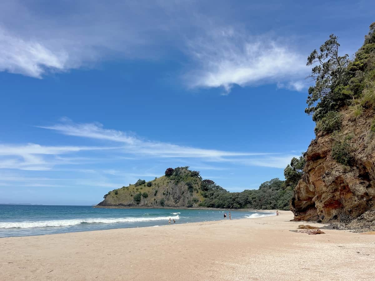 Whangapoua Beach: A Local's Guide to the Gateway to New Chums
