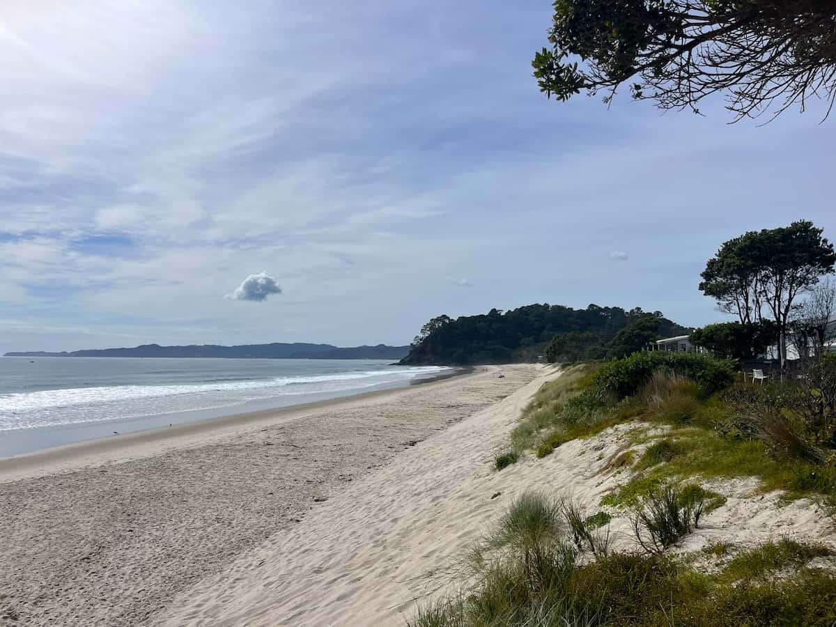 Whangapoua Beach: A Local's Guide to the Gateway to New Chums