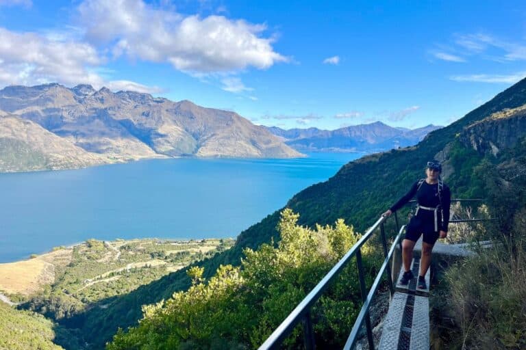 Wye Creek Walking Track and Lookout (A Local's Guide 2026)