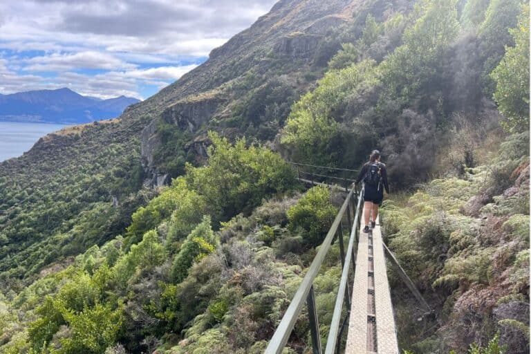 Wye Creek Walking Track and Lookout (A Local's Guide 2026)