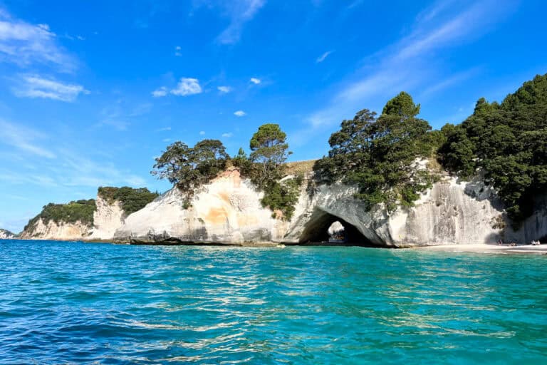 31 EPIC Things to do in the Coromandel Peninsular in 2025