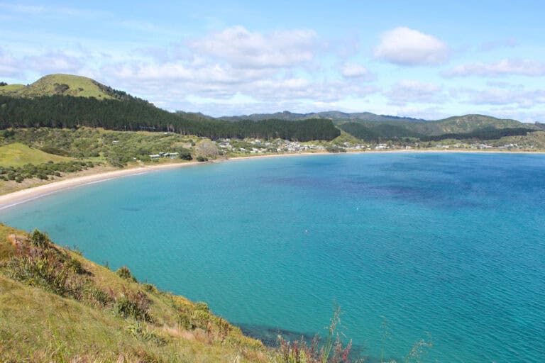 31 EPIC Things to do in the Coromandel Peninsular in 2025