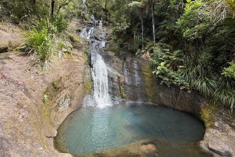 17 Best Auckland Walks and Hikes (2025)
